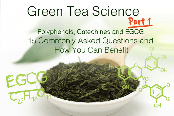 Green Tea Science Part 1: Polyphenols, Catechins, and EGCG - 15 Common ...