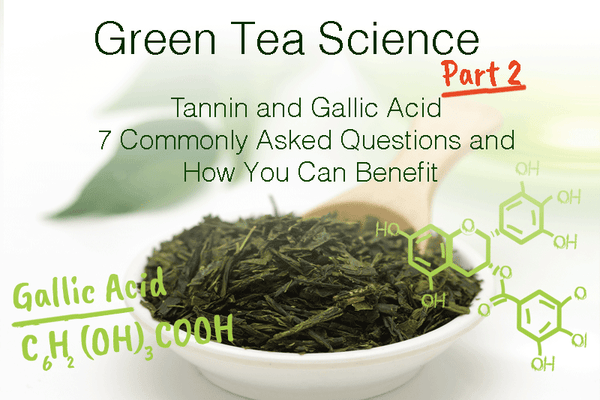 Green Tea Science Part 2: Tannin, and Gallic Acid- 7 Commonly Asked Qu ...